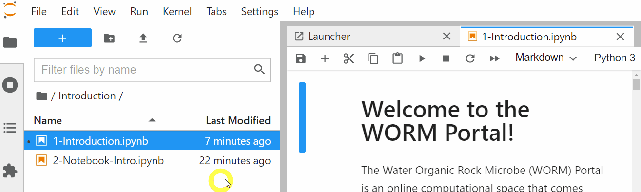 Getting Started - WORM Portal